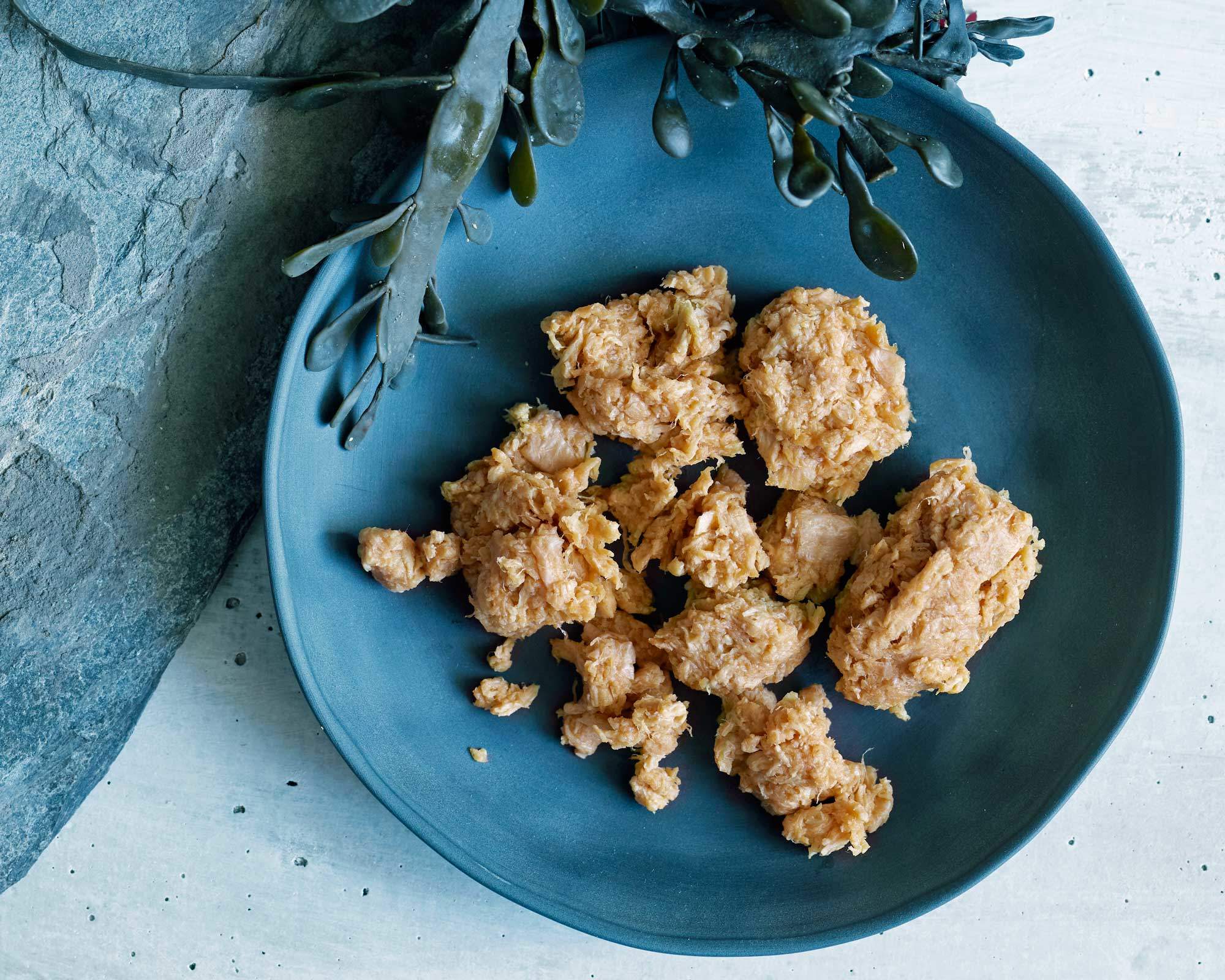 Veganer Fisch – die Alternative ohne Haken? - zukunftsessen.de